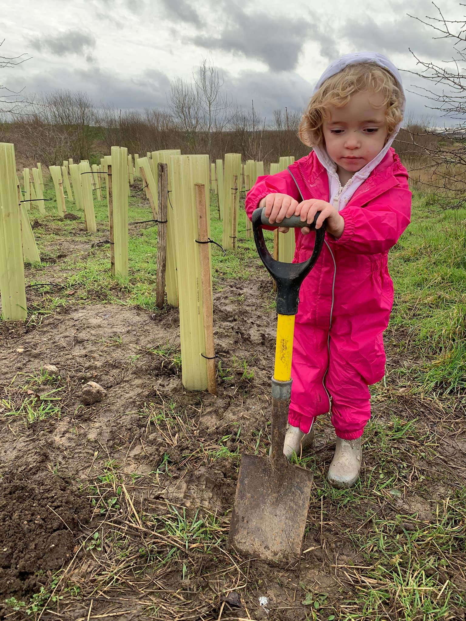 Tree Planting for National Tree Week - Milton Creek Country Park
